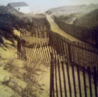 Jon Waddell – Medium