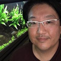 Stephen Nii – Medium