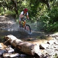 Zachary Hudson Stewart – Medium