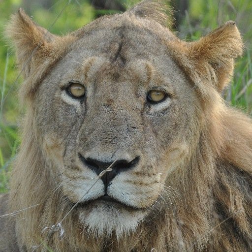 DR.RAMESH – Medium