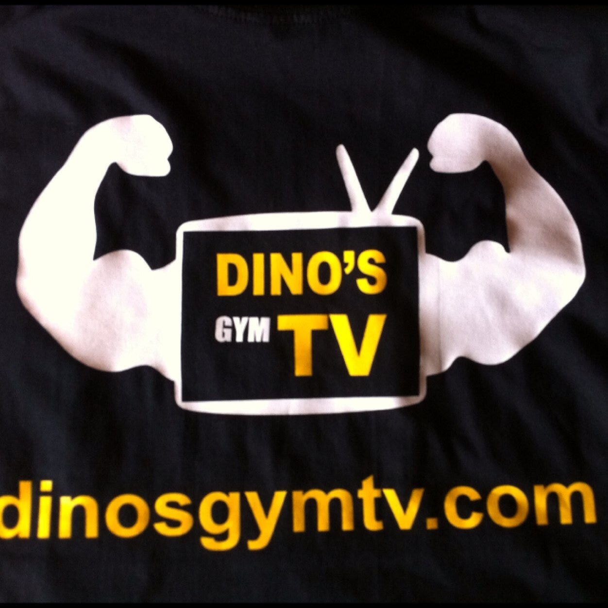 About – Dino's Gym TV – Medium