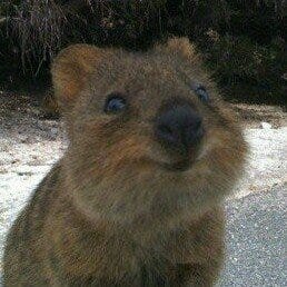 About – woops – Medium