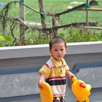 Hoai Nam Tran – Medium