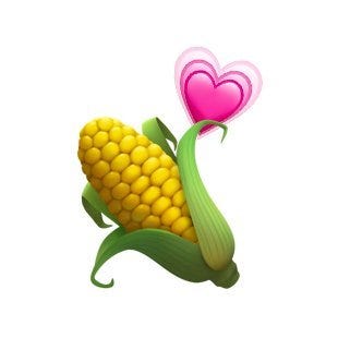 CORN – Medium