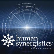 Human Synergistics – Medium