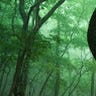 circle block – Medium
