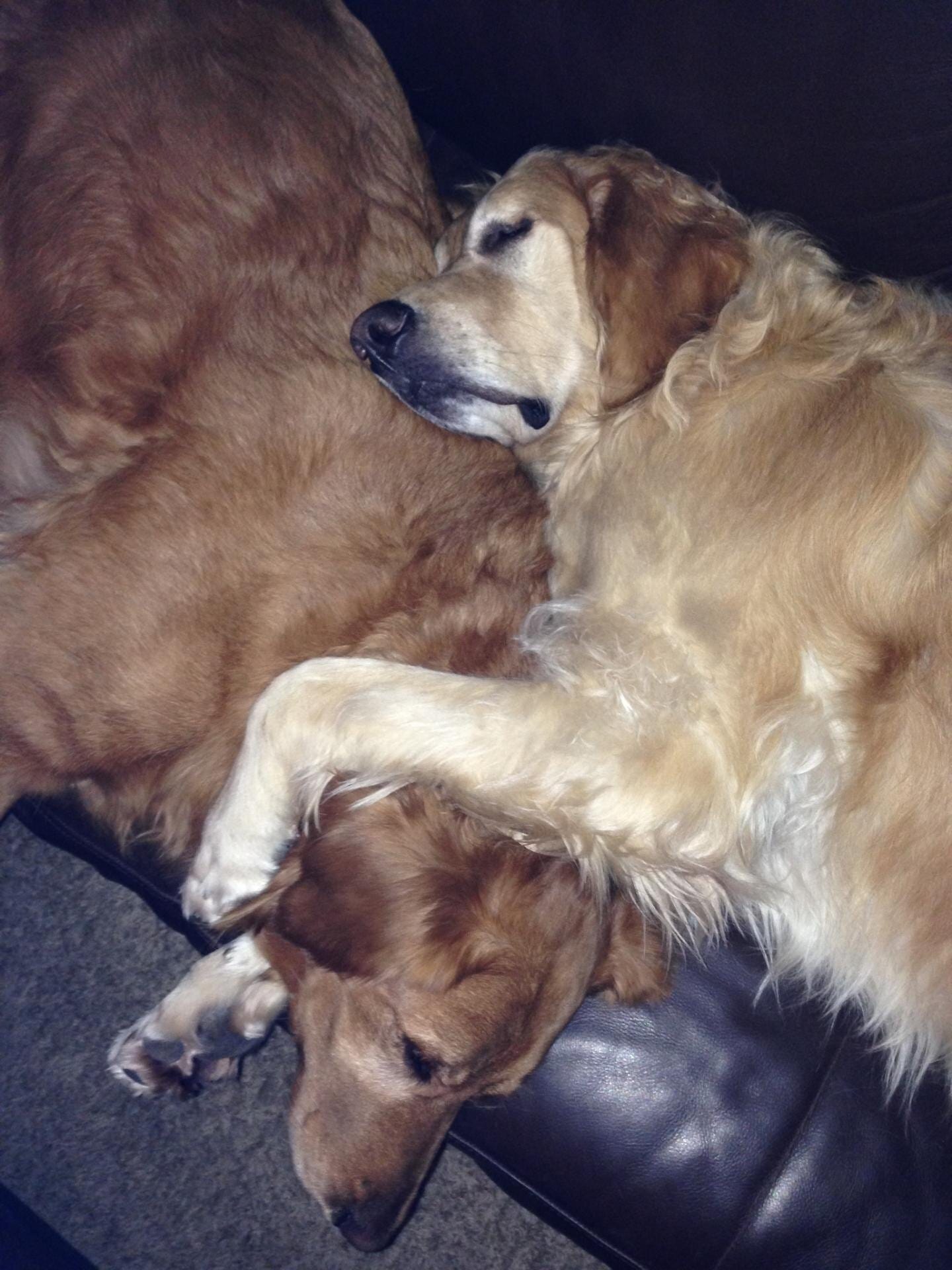 Jen Thomas – Medium