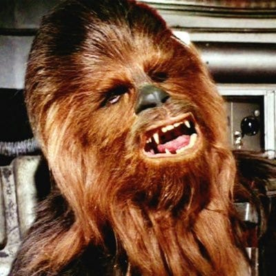 Furious Wookie – Medium