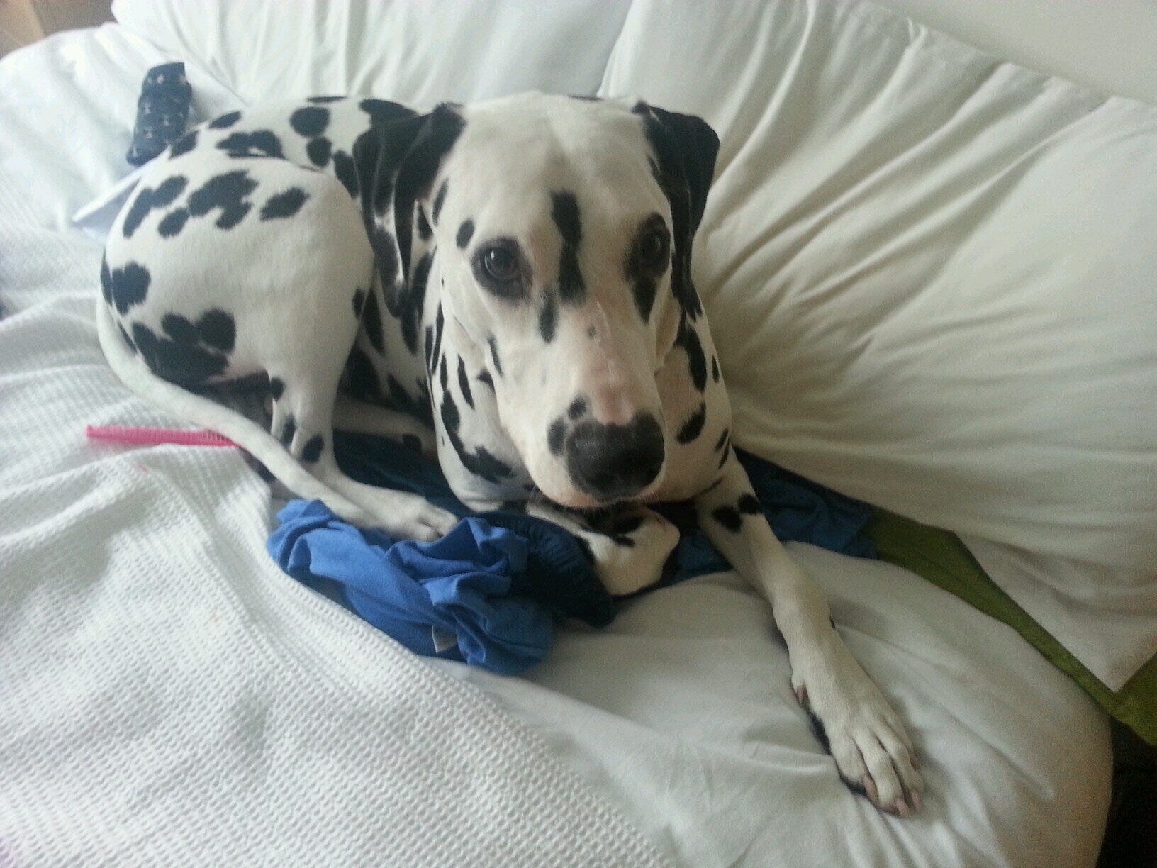 Rob Miller – Medium