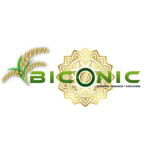 Biconic – Medium