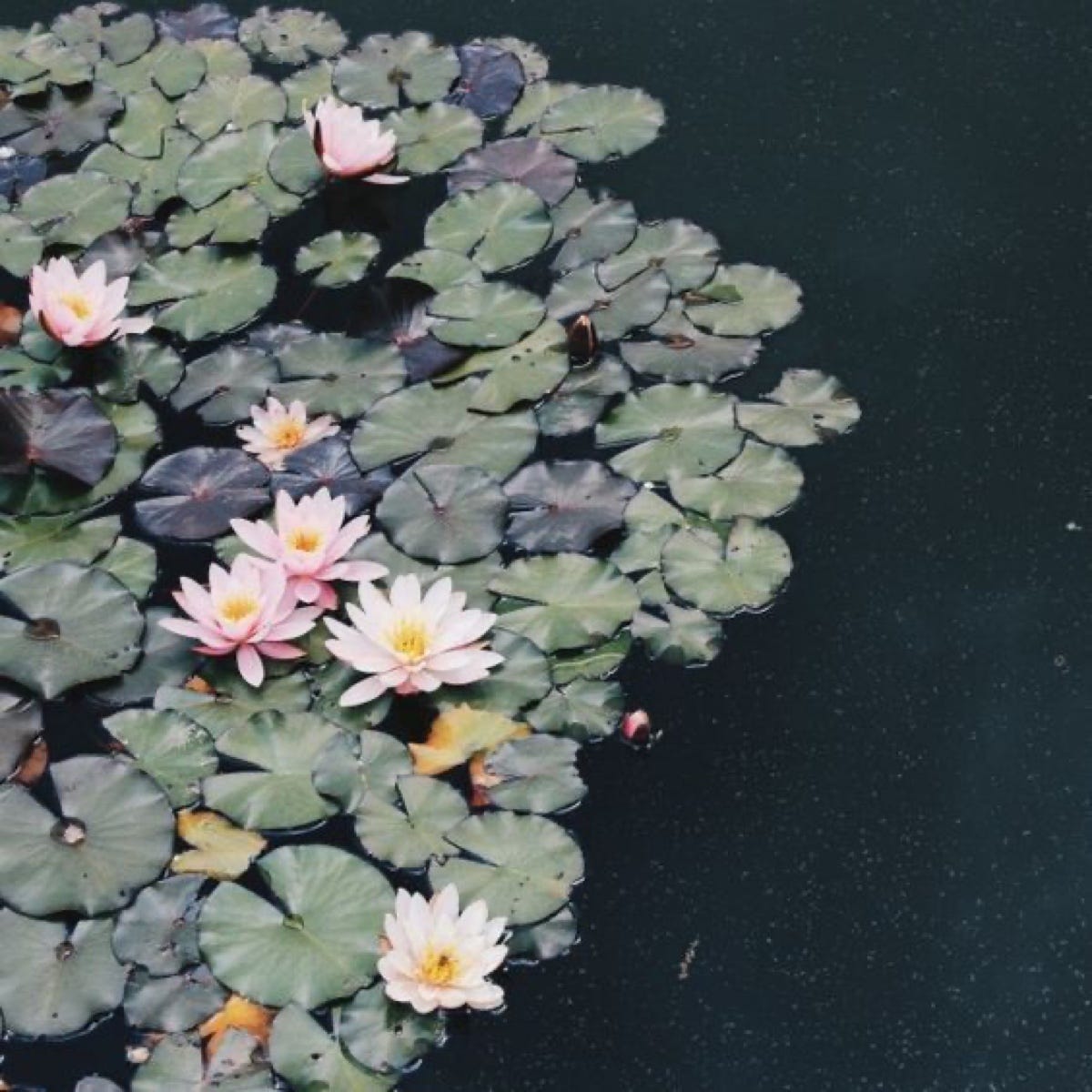 About – Millie – Medium