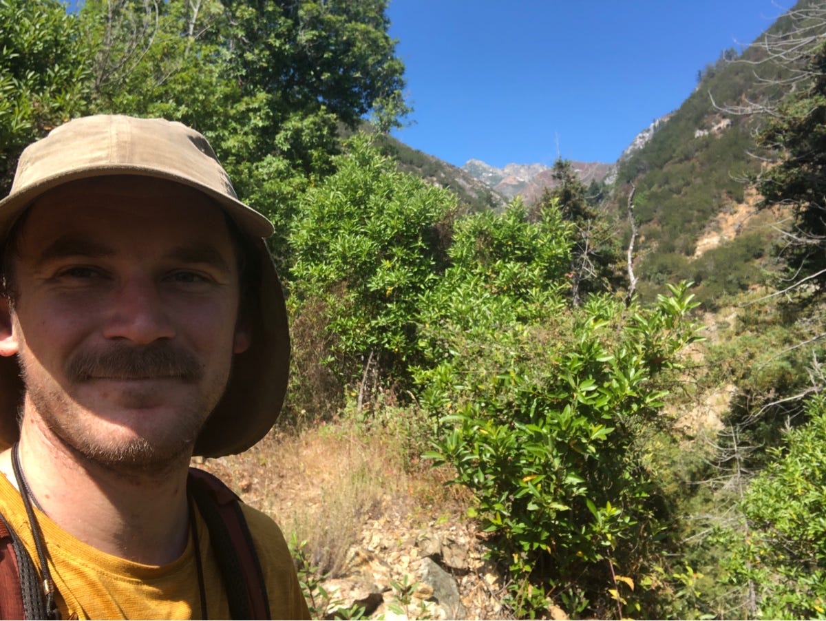 Lucas Dodd – Medium