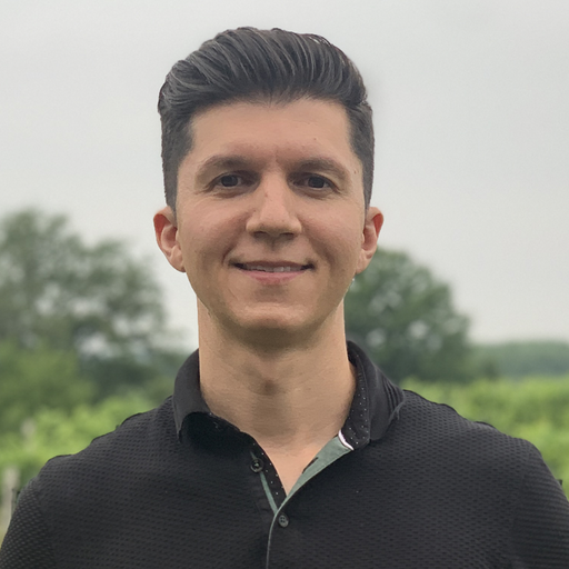 Gabriel Tomescu – Medium