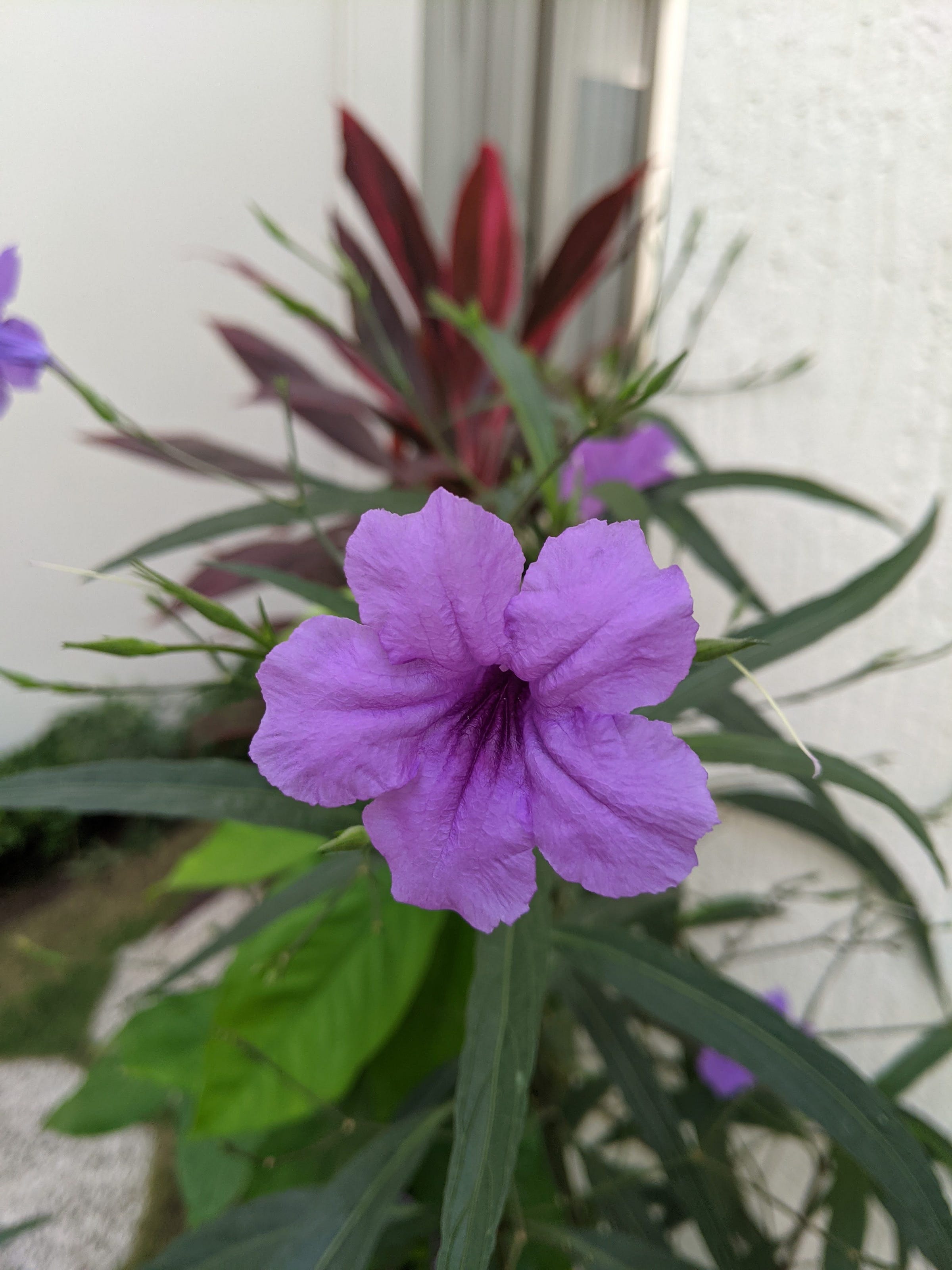 Ousmane Younoussa Abdou – Medium