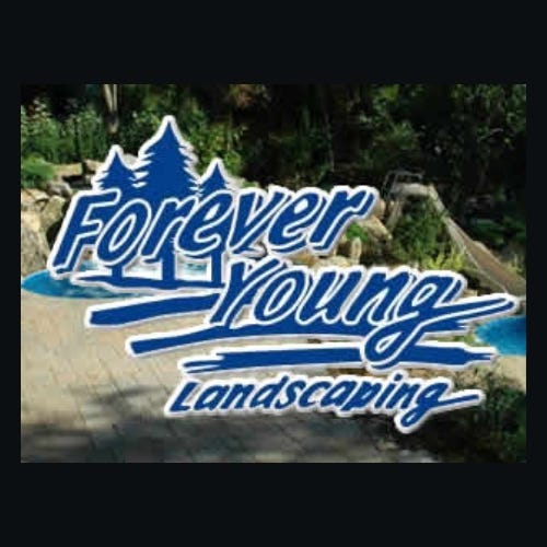 About – Forever Young Tree Service – Medium