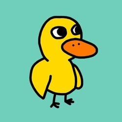 KOAK – Medium