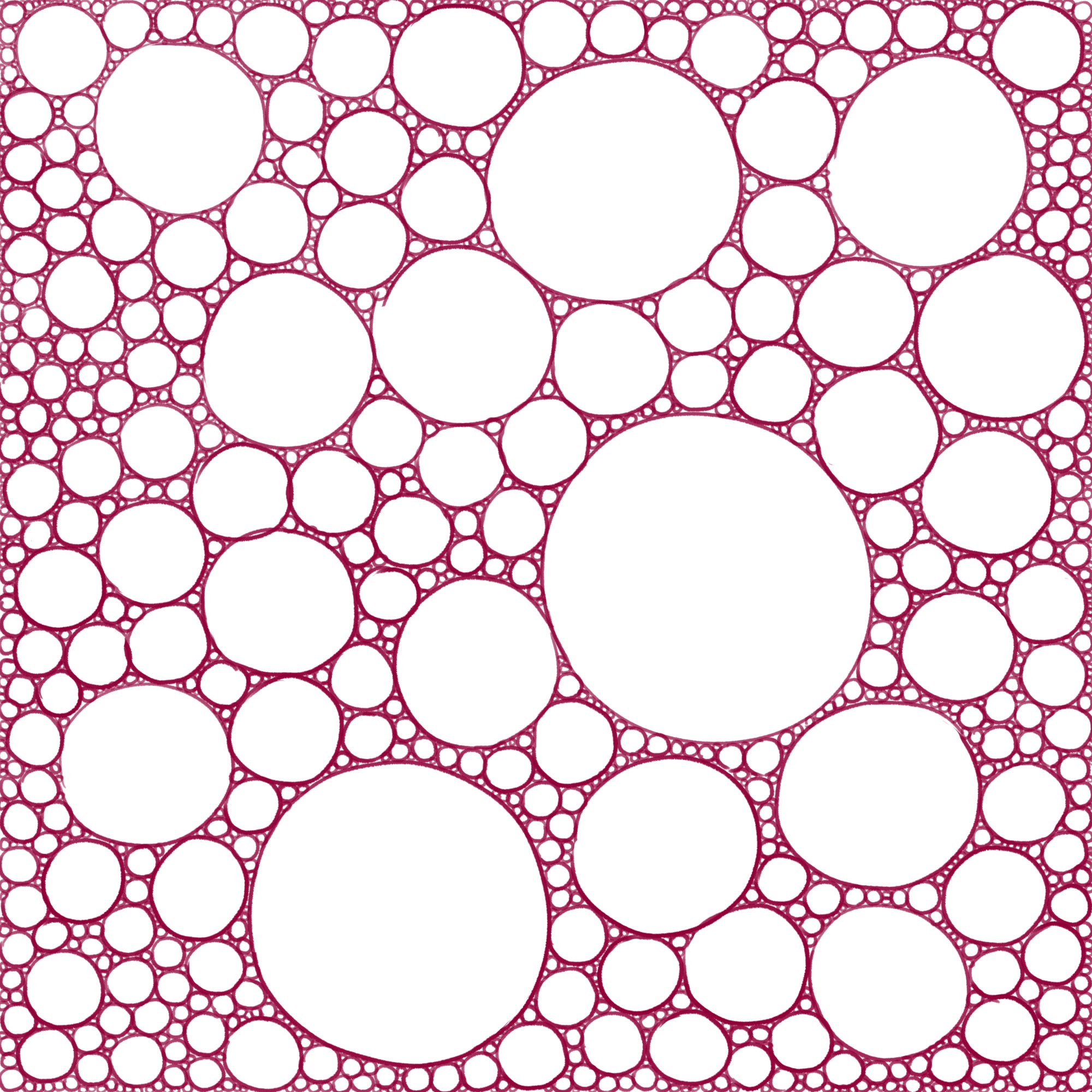 Polina – Medium