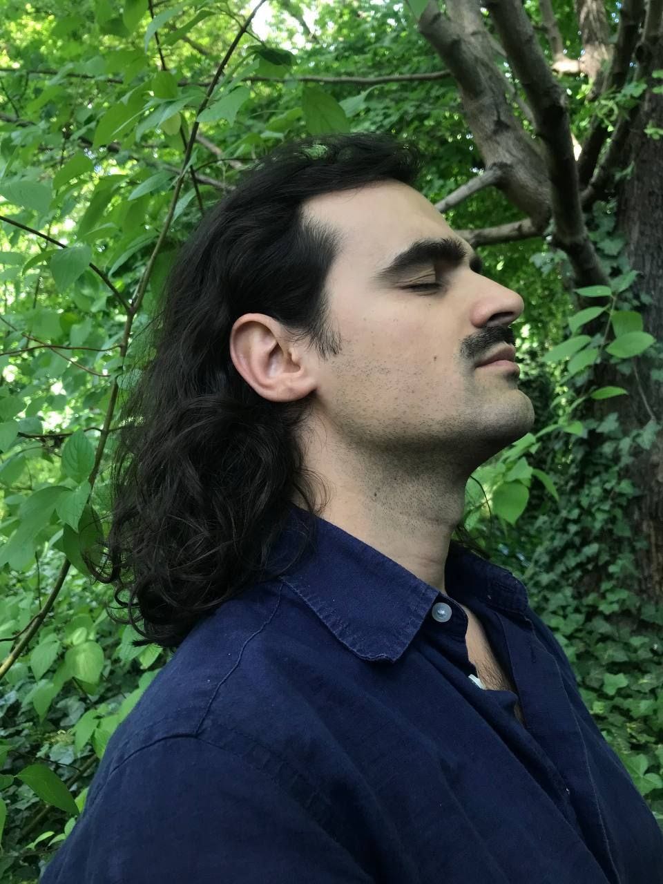 Petrică Nițoaia – Medium