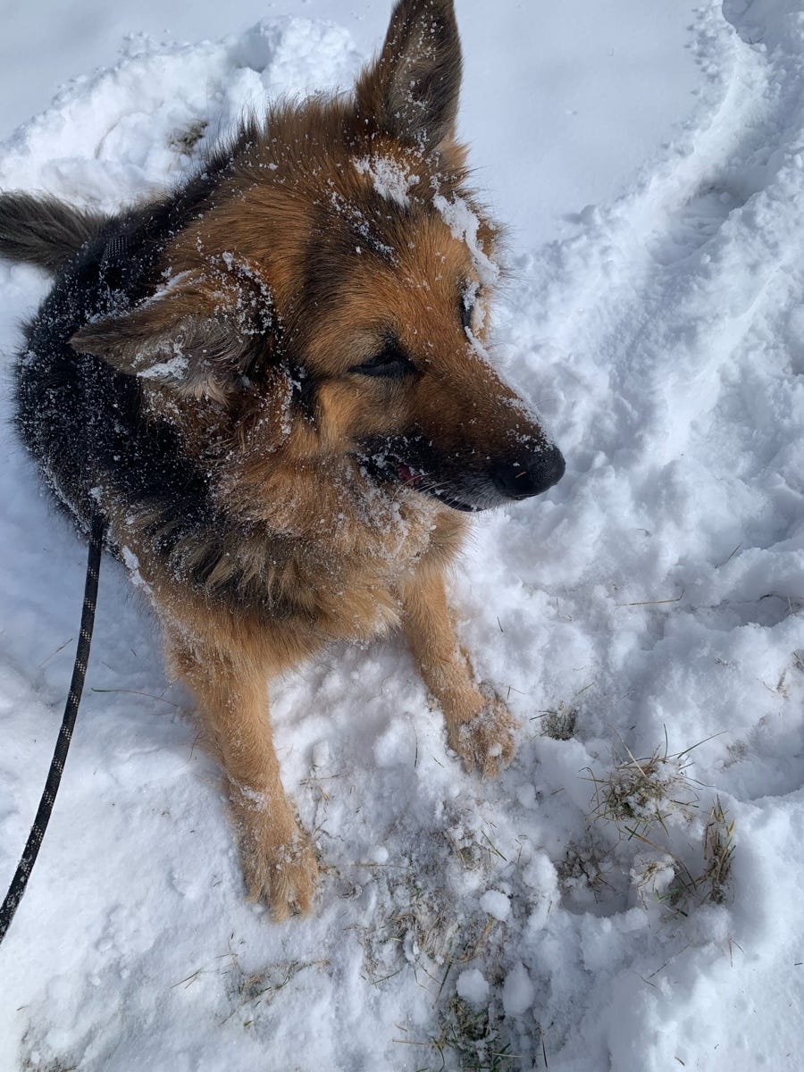 Roger Scott – Medium