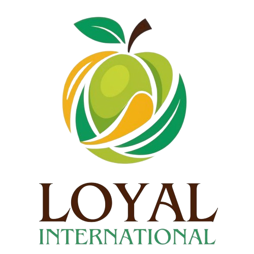 Loyal International – Medium