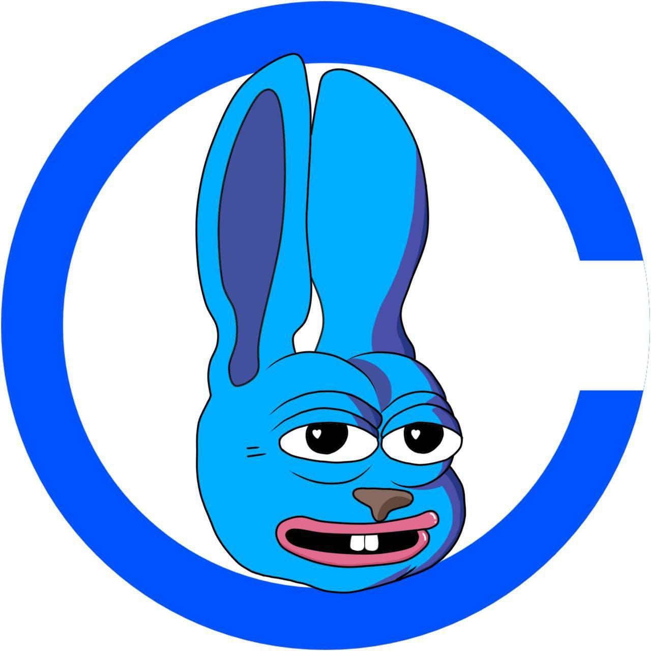 Based Rabbit – Medium