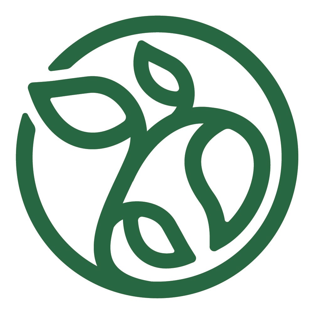 About – Tencha – Medium