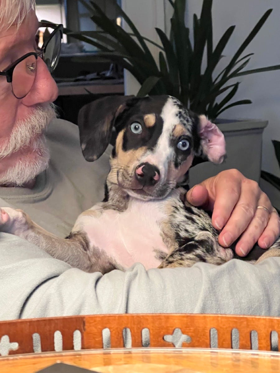 Tom Gough on Medium curated some lists