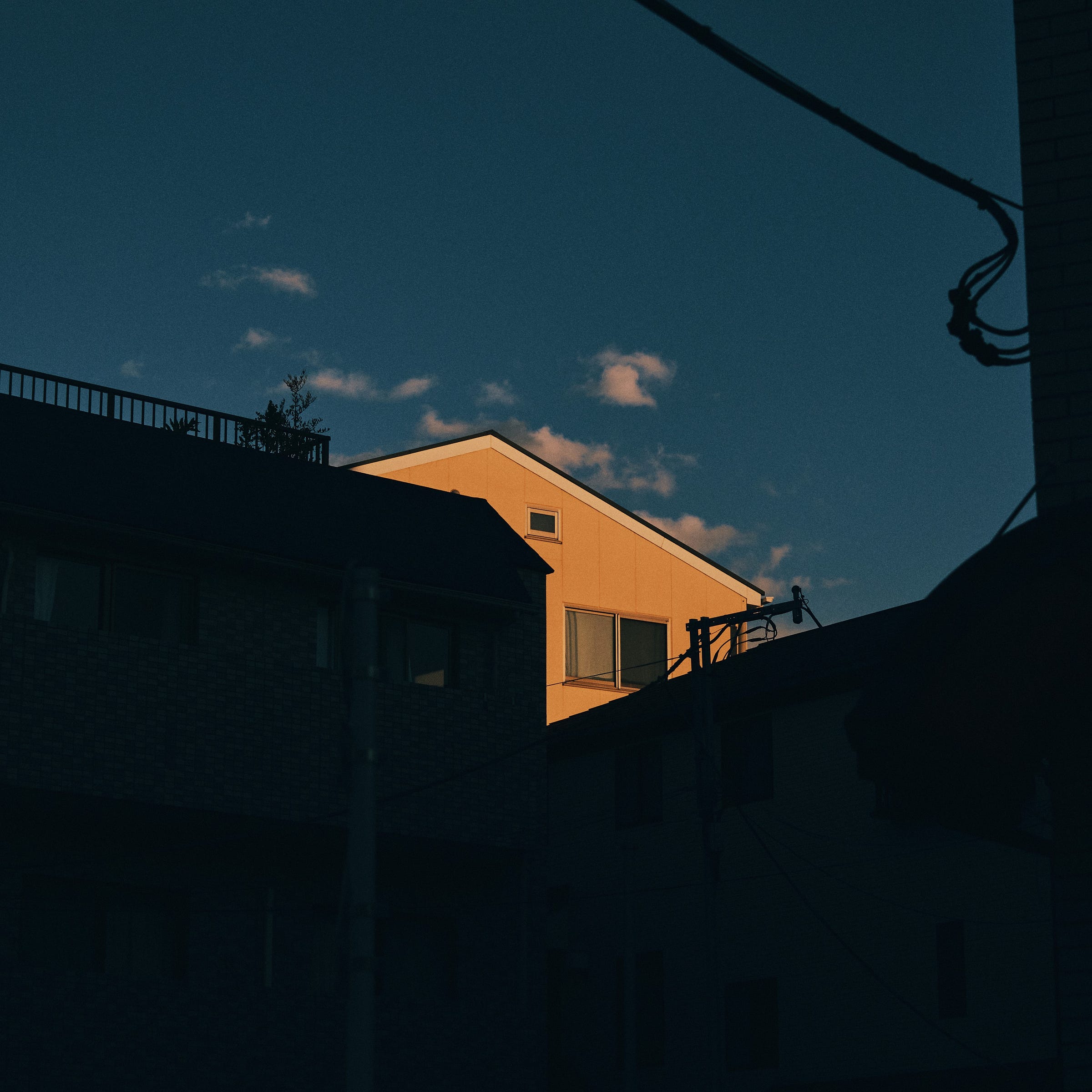 Shion – Medium