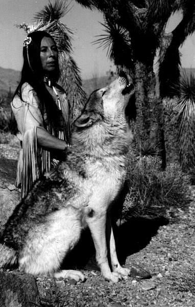 Wolves In Native American Culture