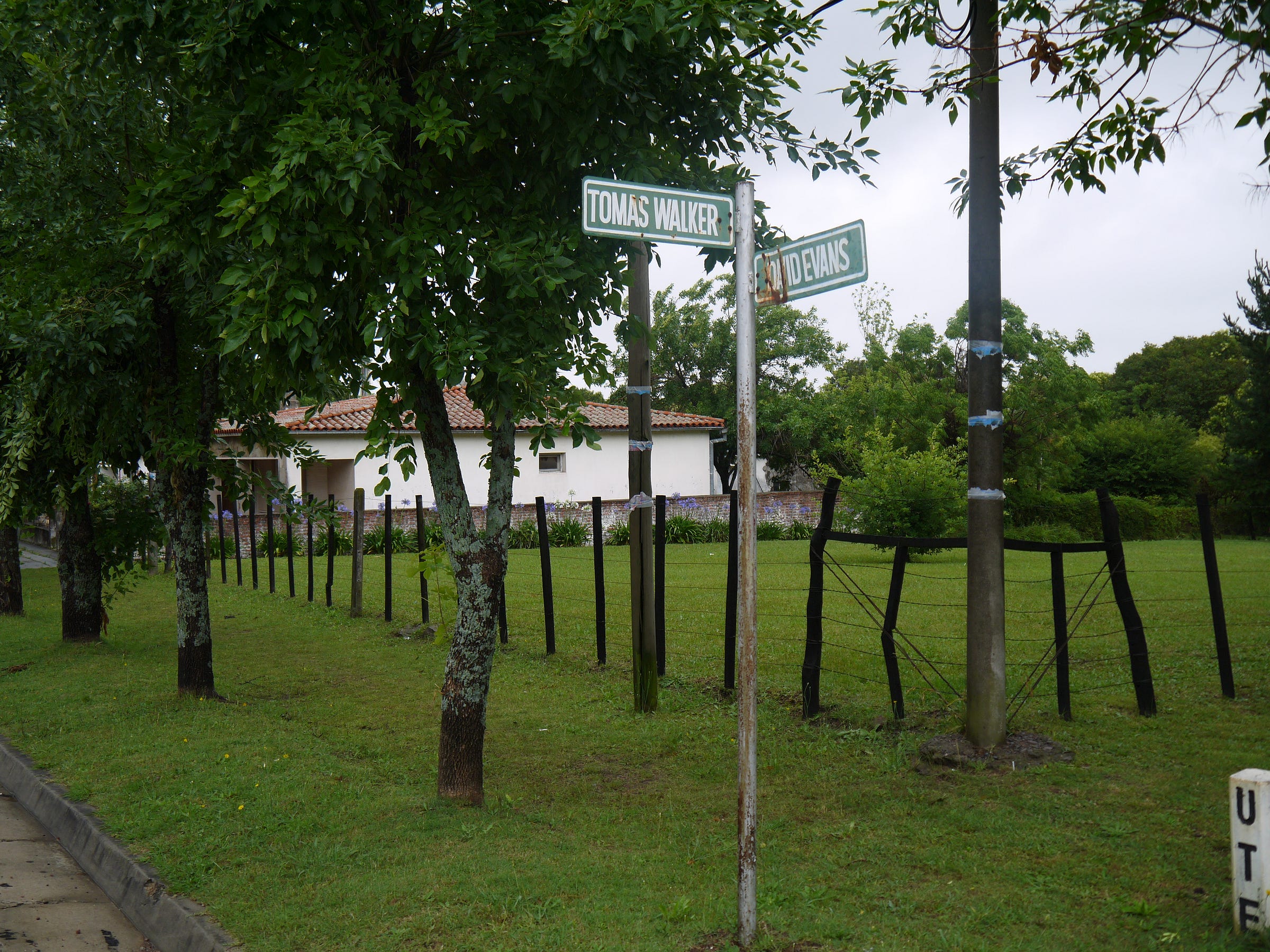 Tomas Walker – Medium