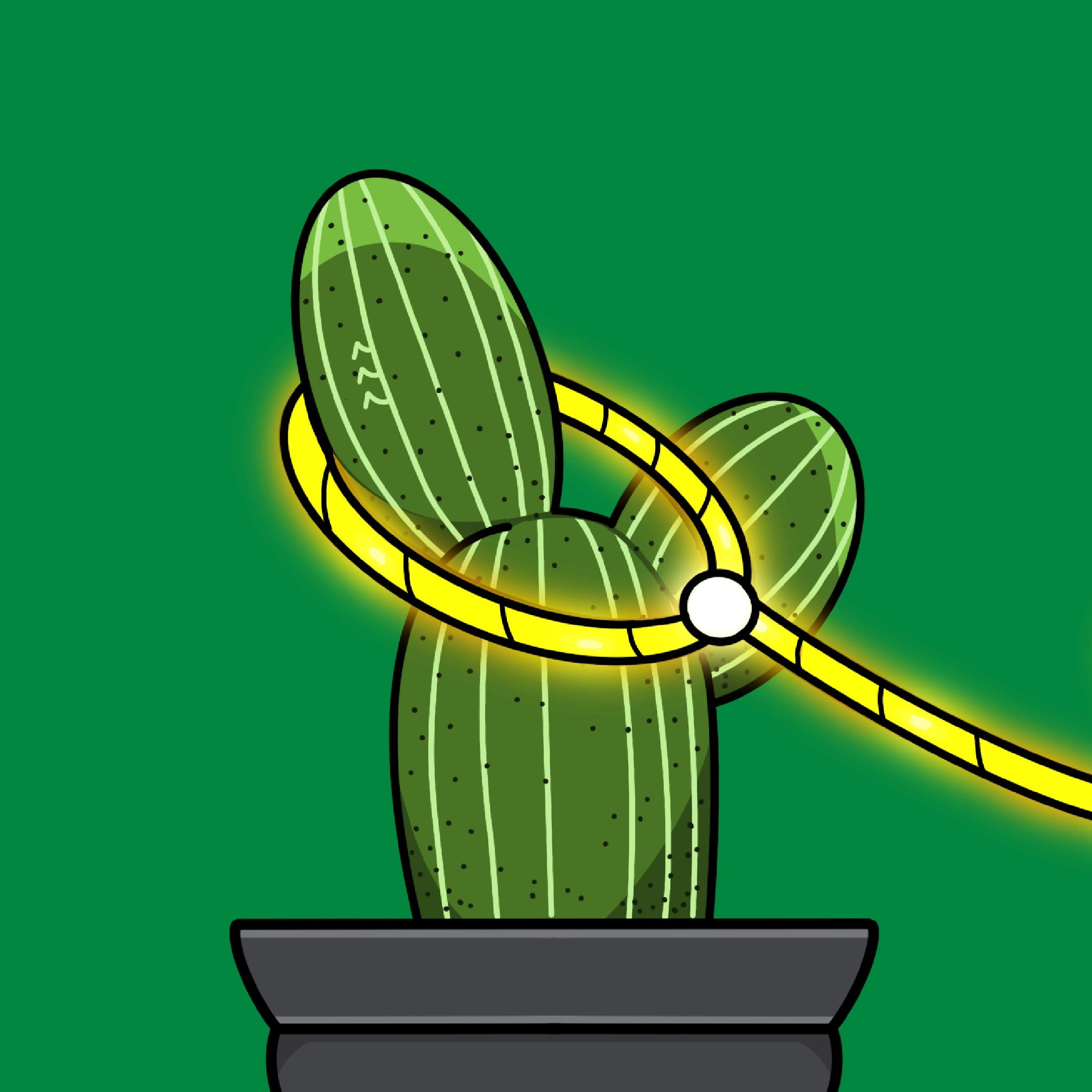 Cactus Friends – Medium