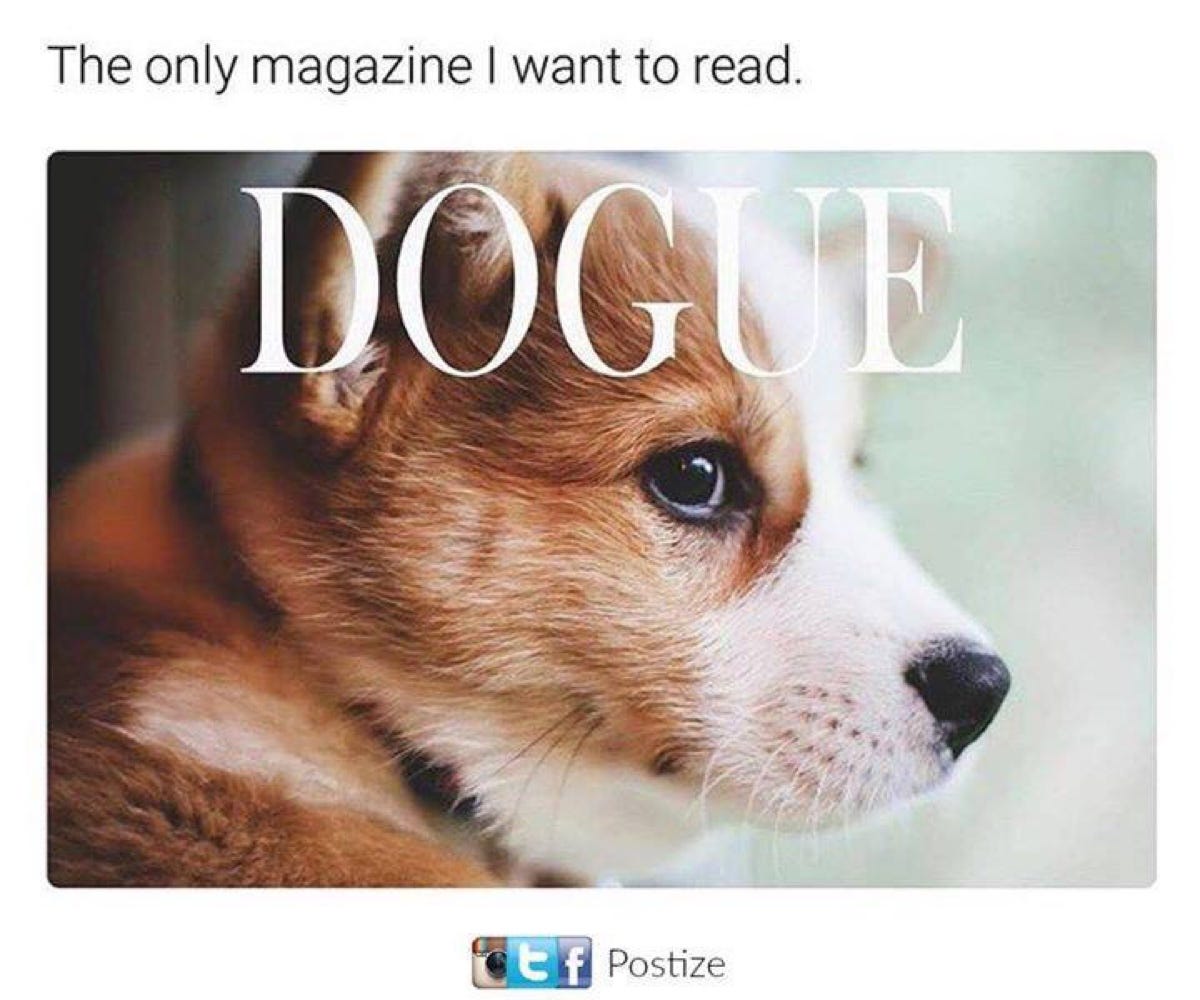 Justin Tan – Medium