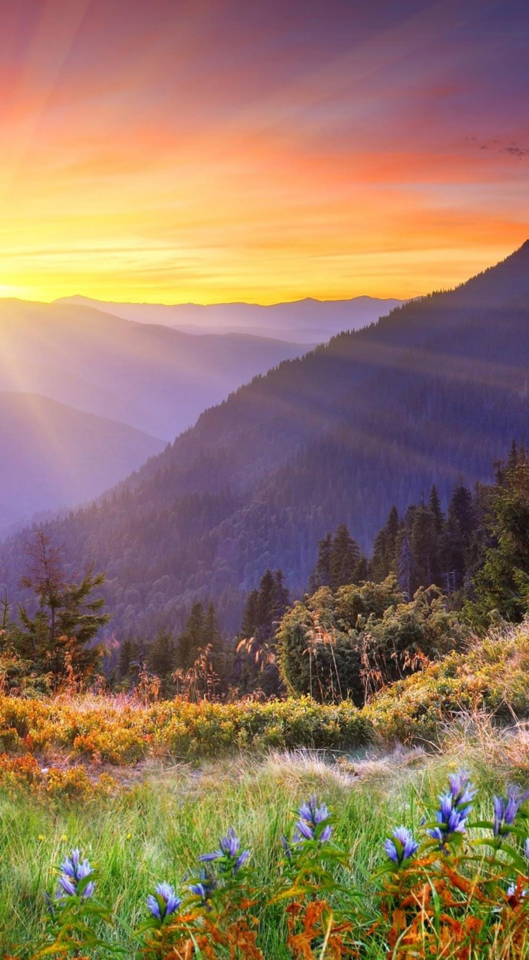 Mukund Agarwal – Medium