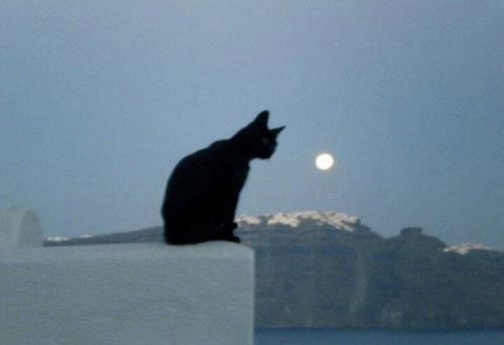 About – yumi☆ – Medium