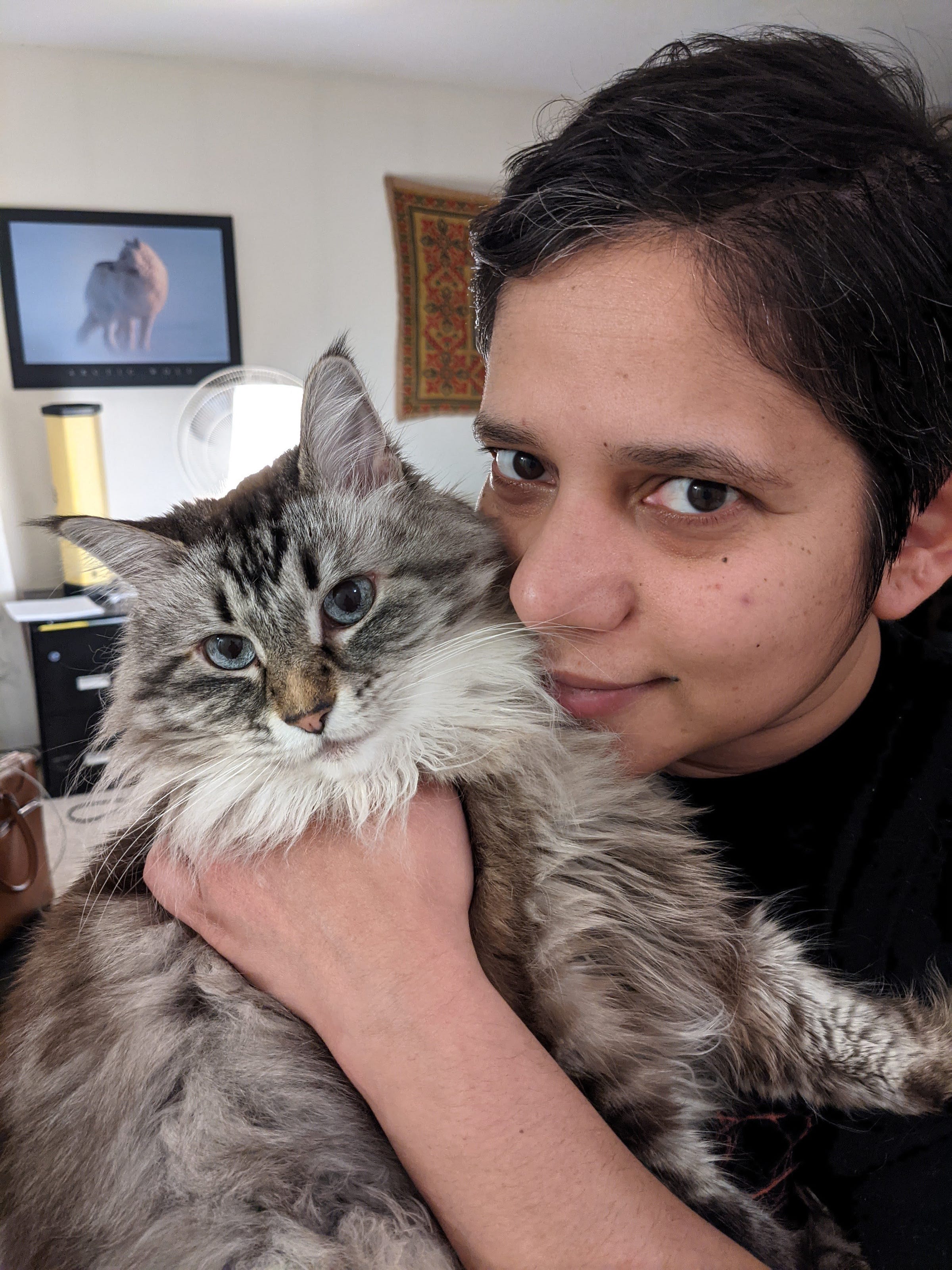Shaona Acharjee on Medium curated some lists