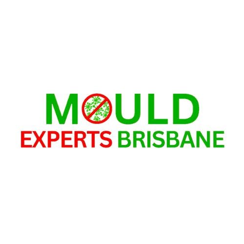Mould Experts Brisbane – Medium