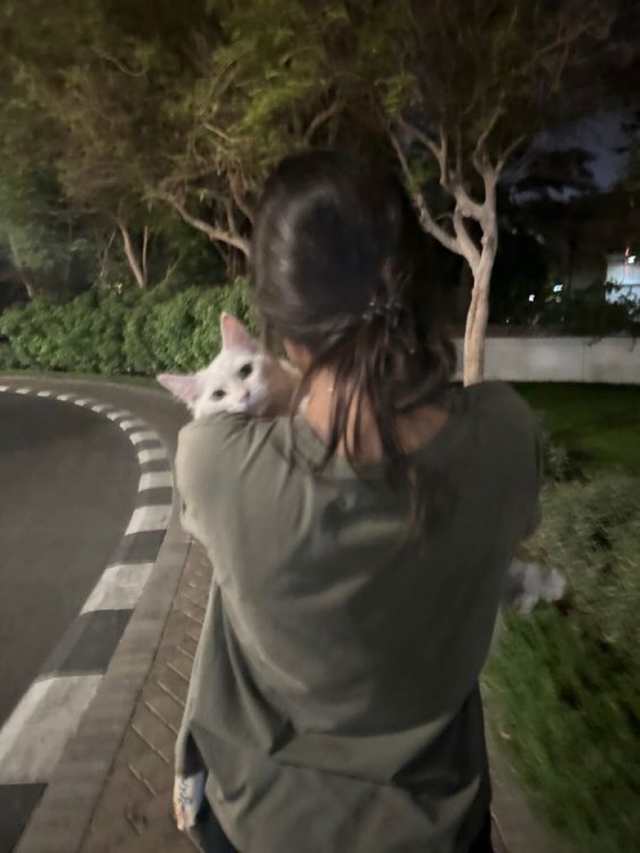 dear wendy jane ☆ – Medium