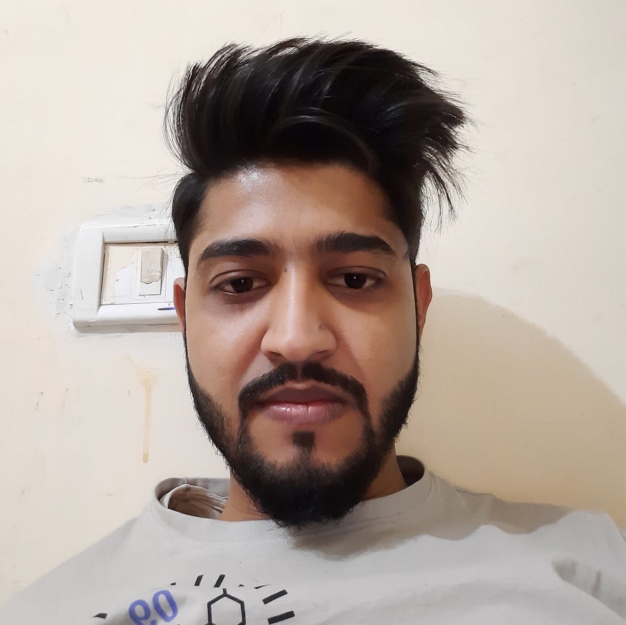 Syed Hussain Mehdi – Medium