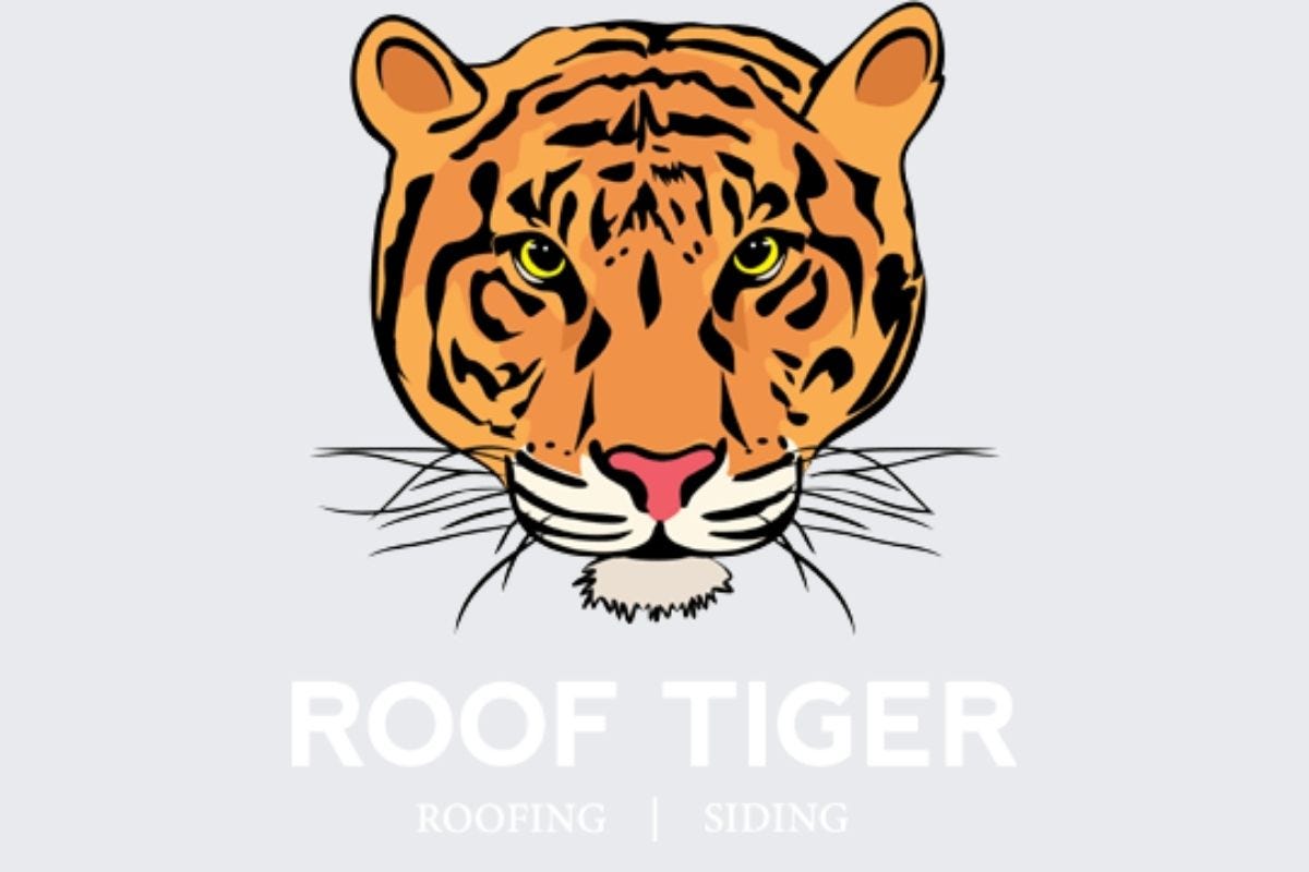ROOF TIGER – Medium