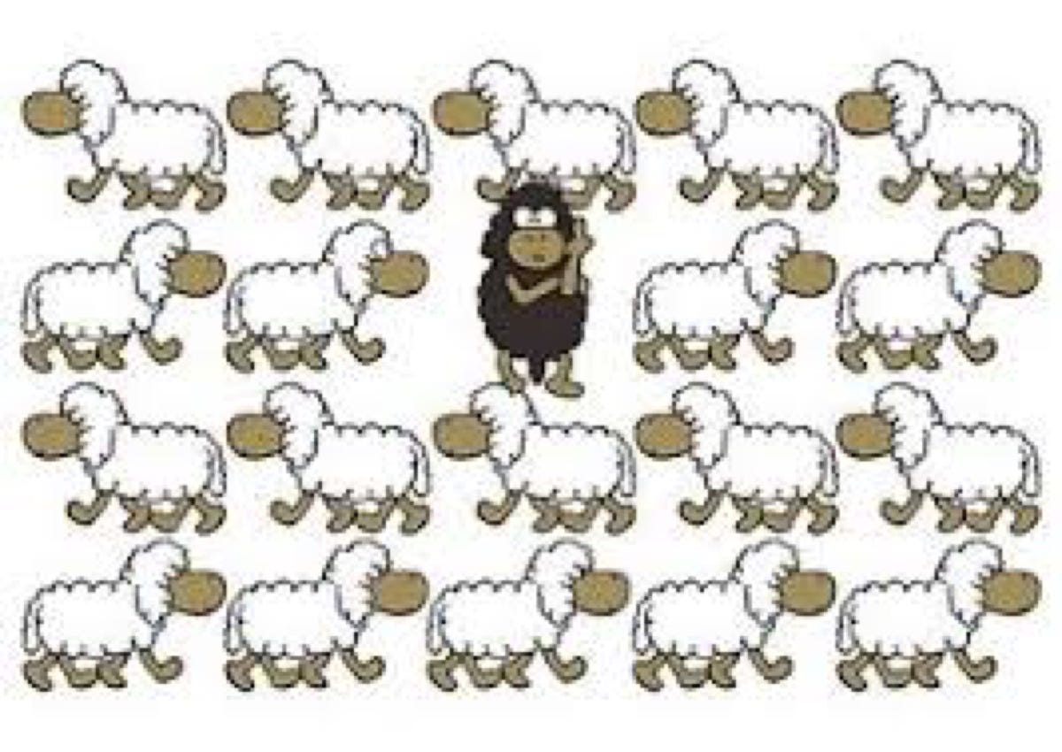 Margo Brody – Medium