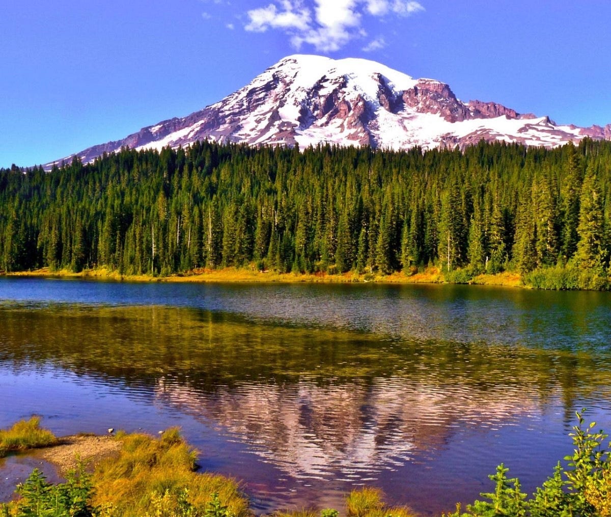 The Wanderer – Medium