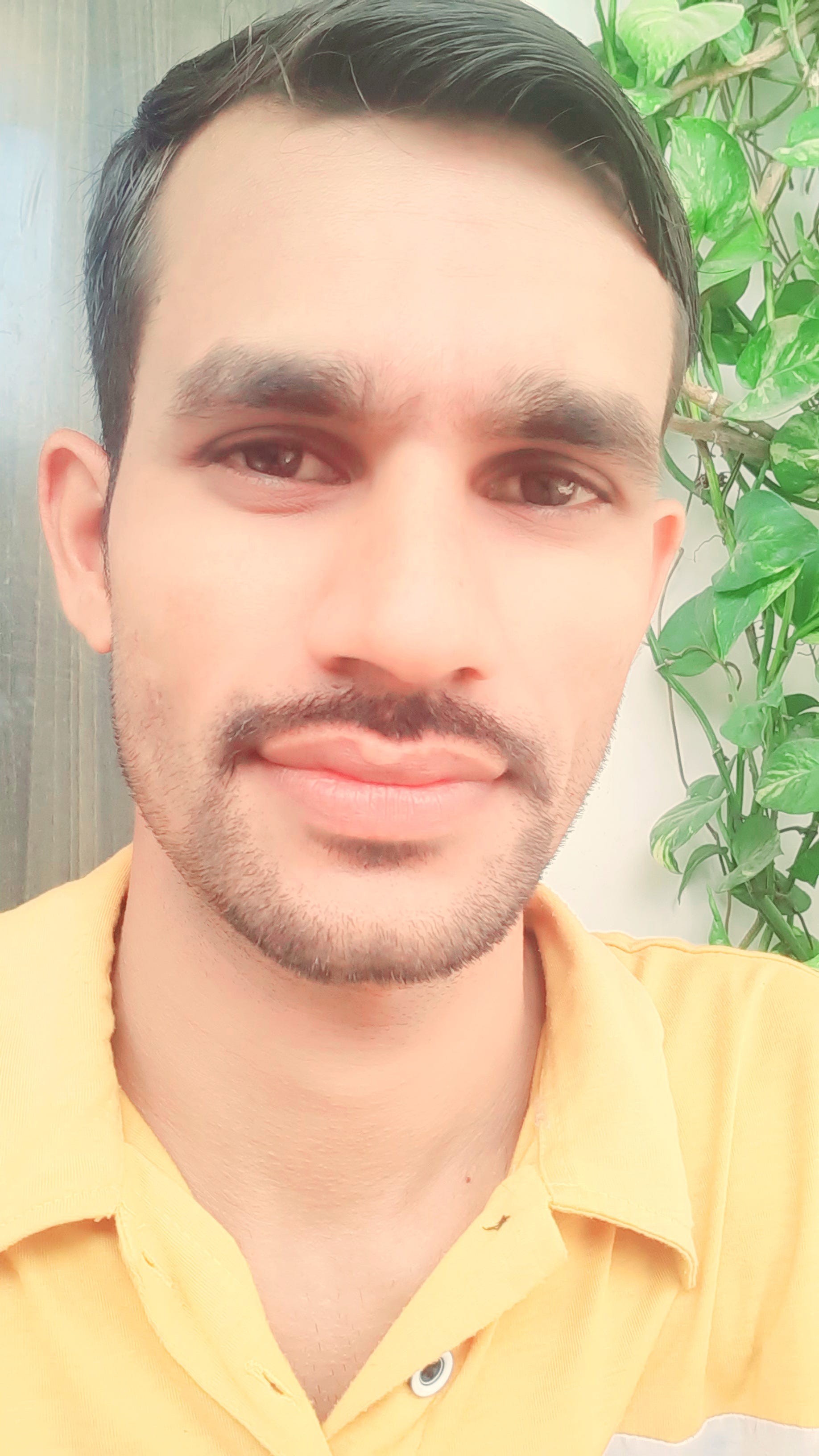 Harshit Yadav on Medium curated some lists