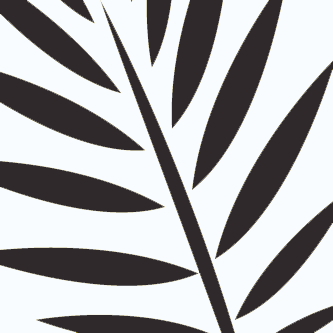 About – El equipo de Palma Negra – Medium