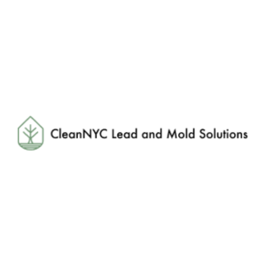 Clean NYC Lead – Medium
