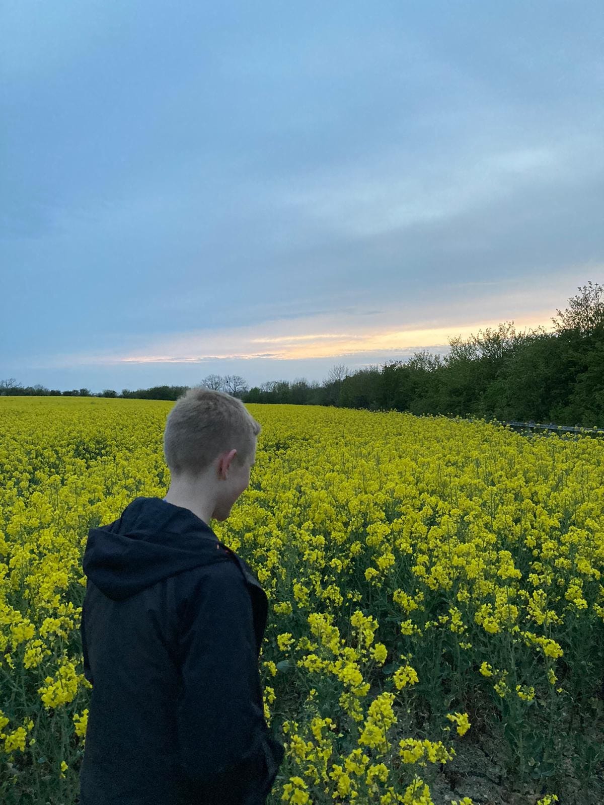 Sam Sleeman – Medium
