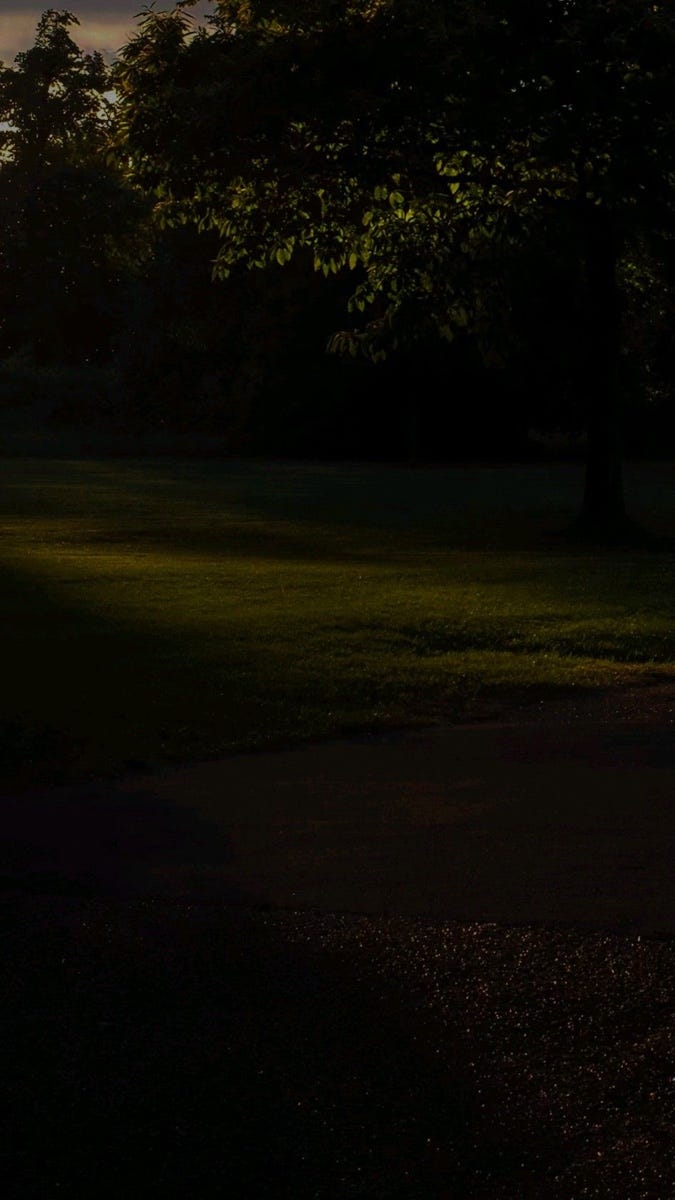 Rey.whispers – Medium