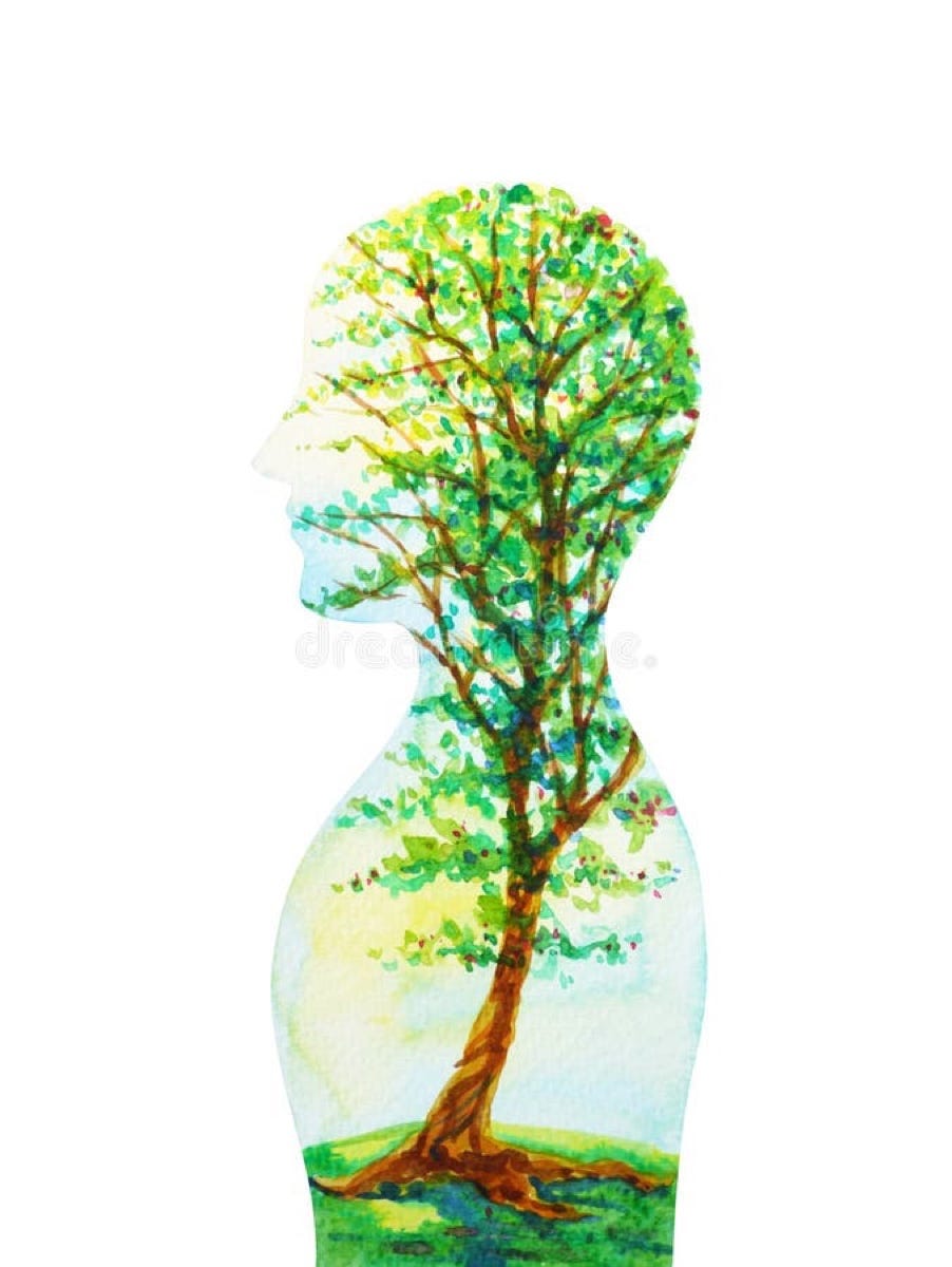 Vance Elsey – Medium