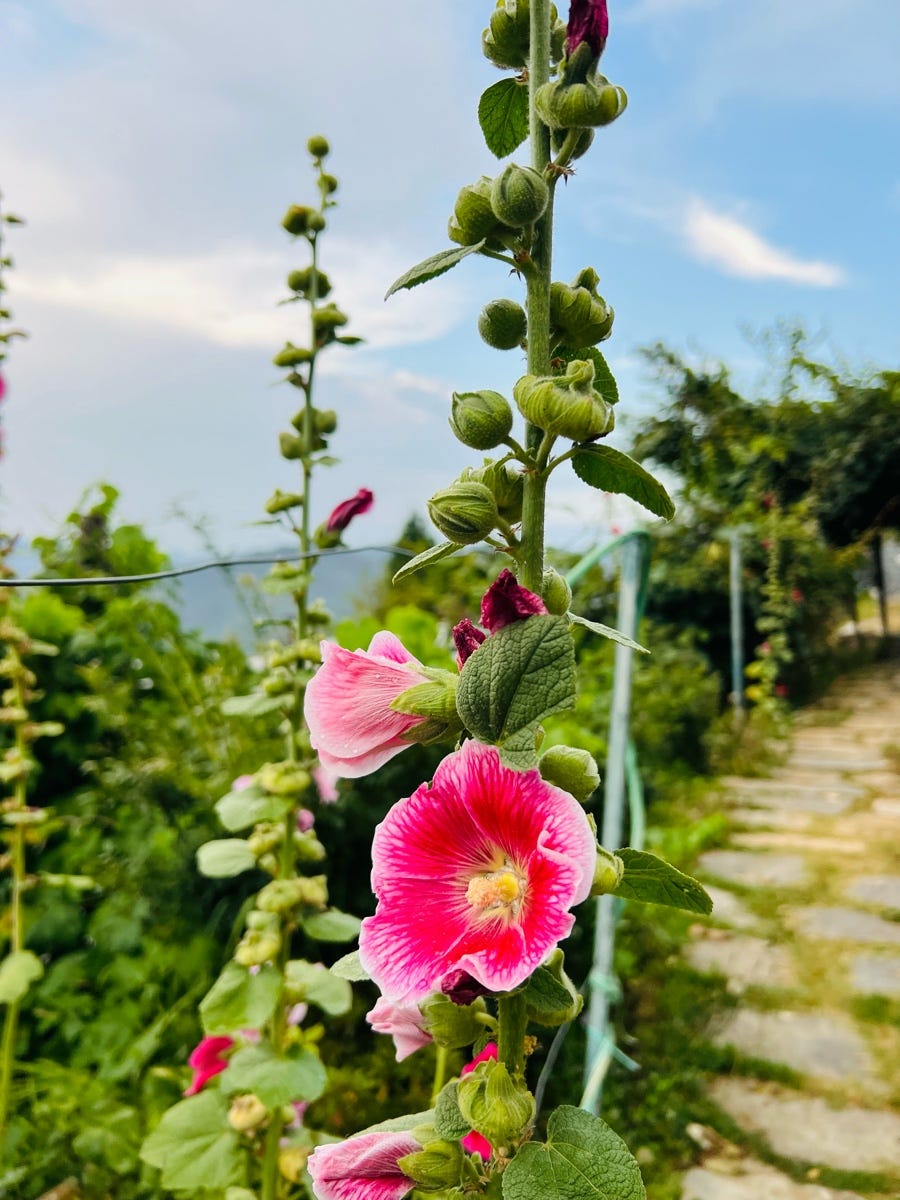 Adarsh Patel – Medium