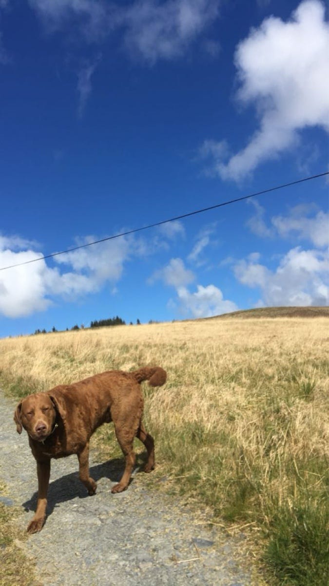 Lydia Rants – Medium