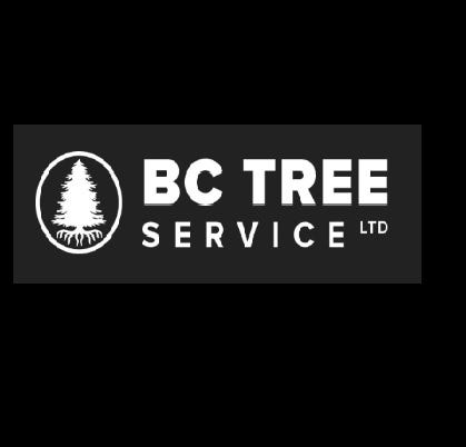 BC Tree Service – Medium